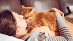 Kattspråk: Hur säger katter, jag älskar dig? Och hur visar du att du ...