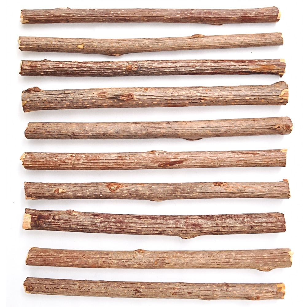 Köp Aumüller Silver Vine/Matatabi sticks - 1 set (10 sticks) - Kattly.se