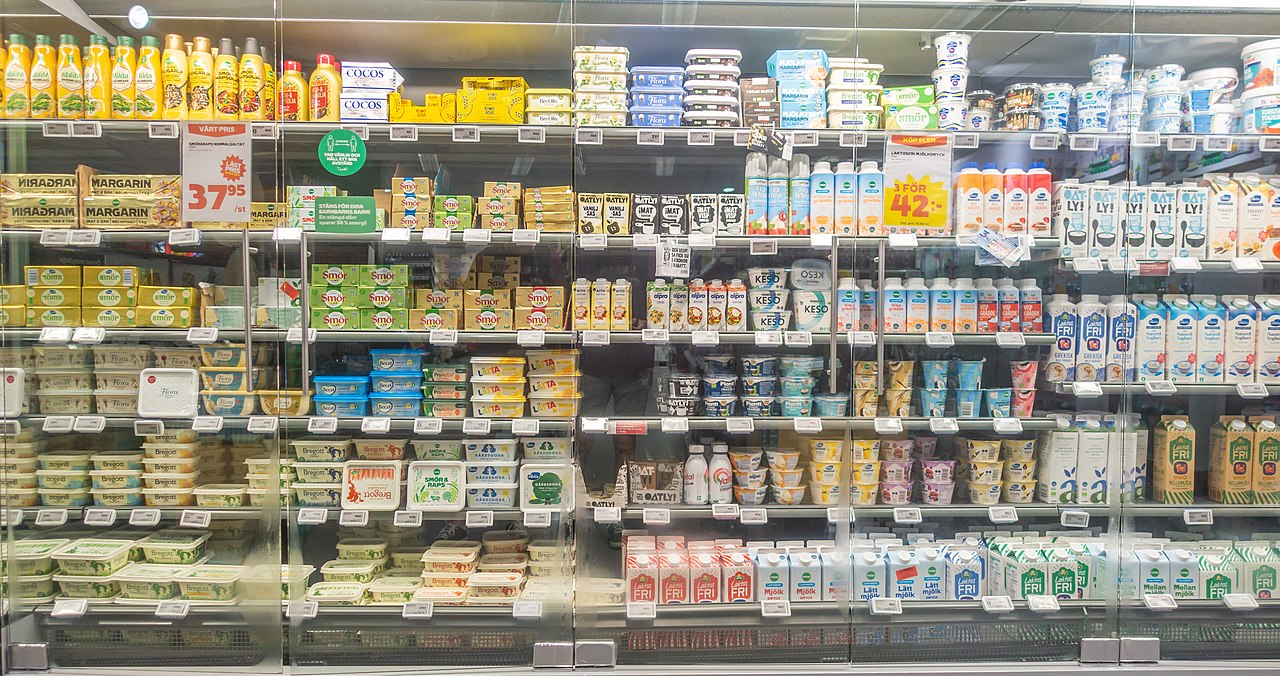 Kan katter äta mejeriprodukter? - Kattly